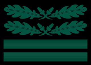 Waffen SS Ranks, 1942-1945