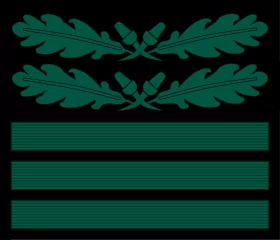 Waffen SS Ranks, 1942-1945