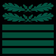 Waffen SS Ranks, 1942-1945