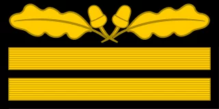 Waffen SS Ranks, 1942-1945