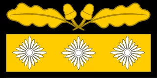 Waffen SS Ranks, 1942-1945