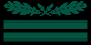 Waffen SS Ranks, 1942-1945