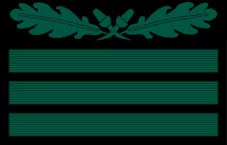 Waffen SS Ranks, 1942-1945